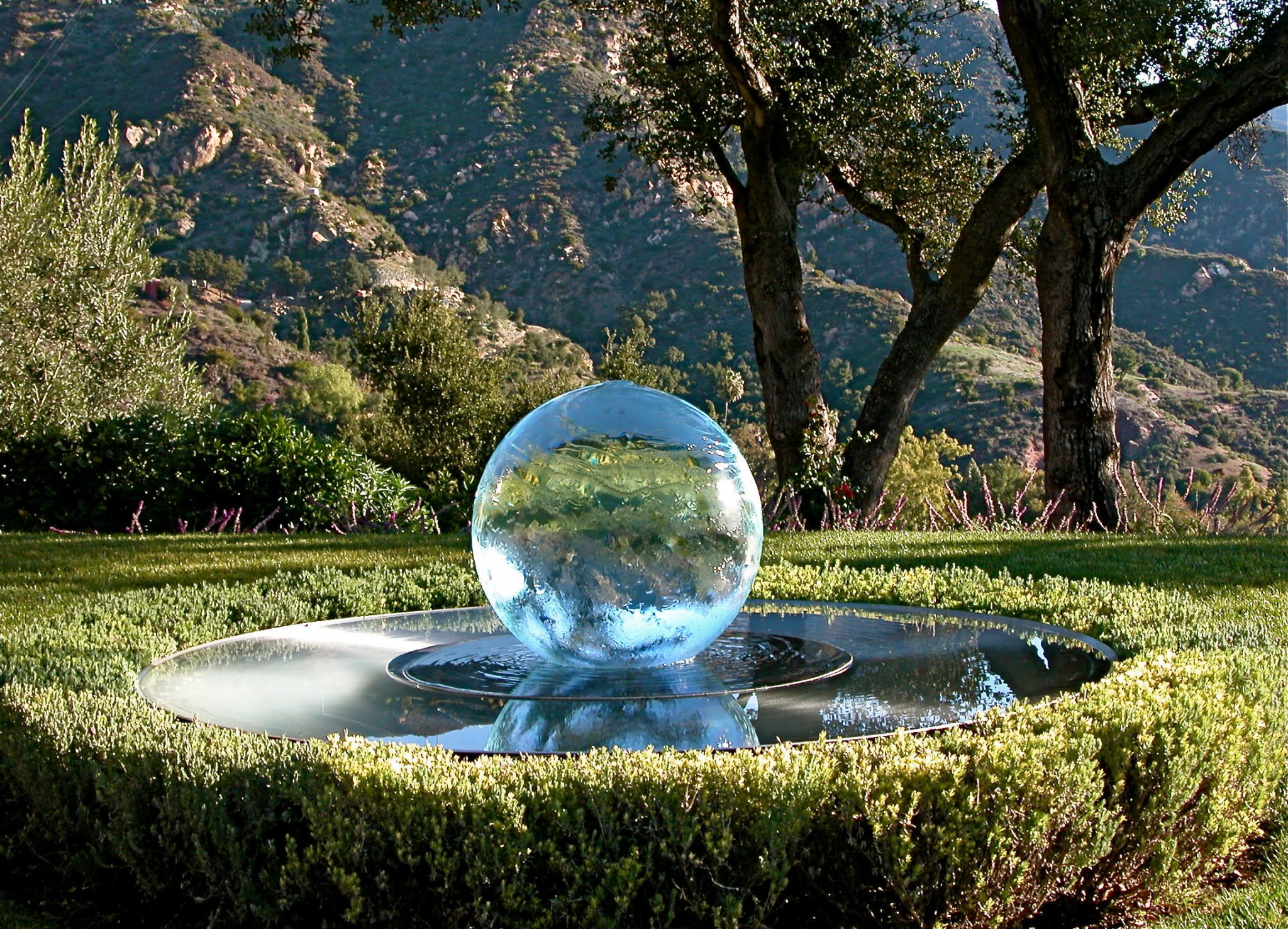 Reflections in the Garden